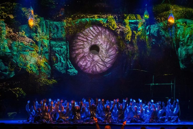 Opera Director's Diary