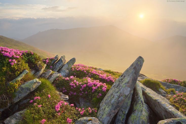 Top 7 Natural Wonders in Ukraine